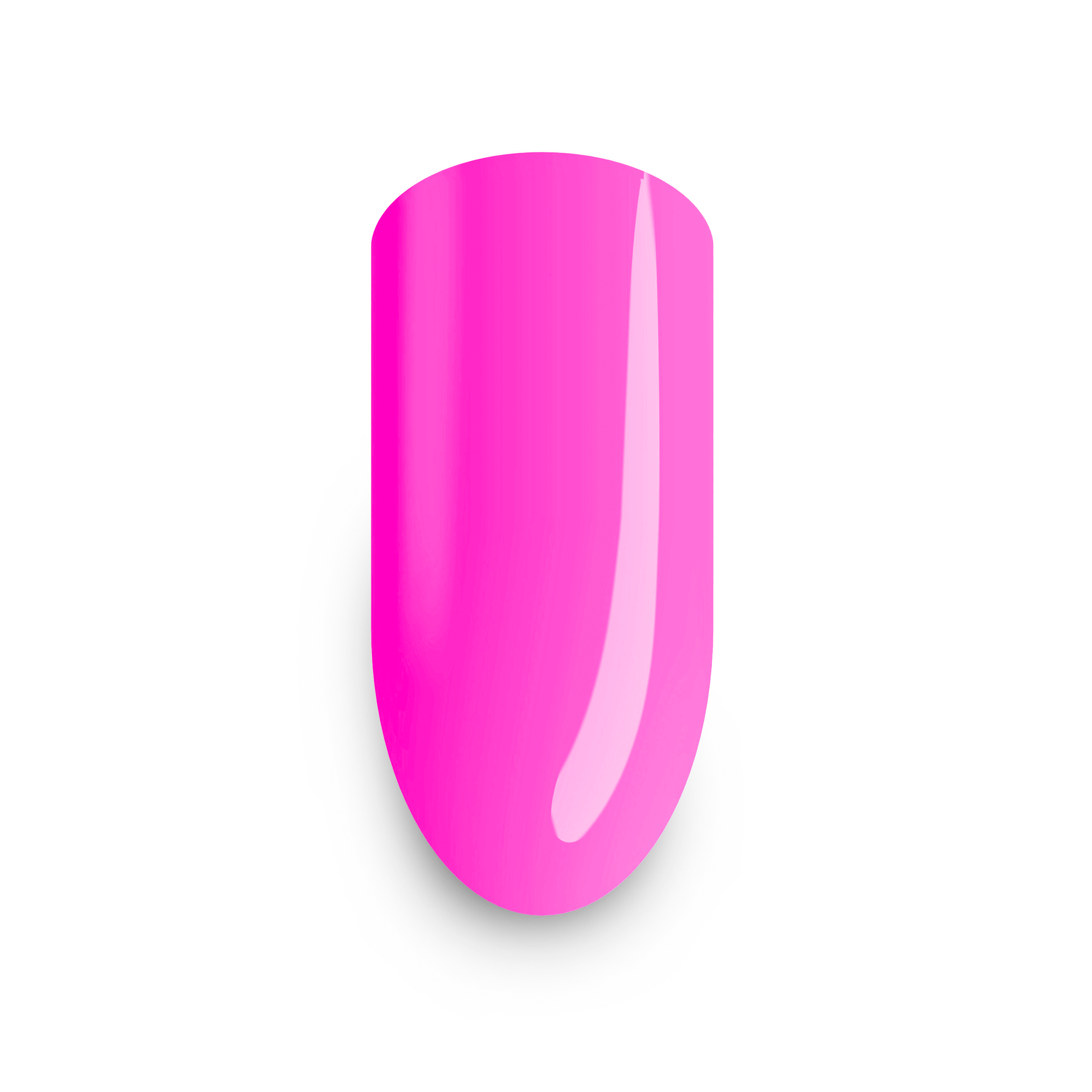 FIESTA – STUDIO gel.